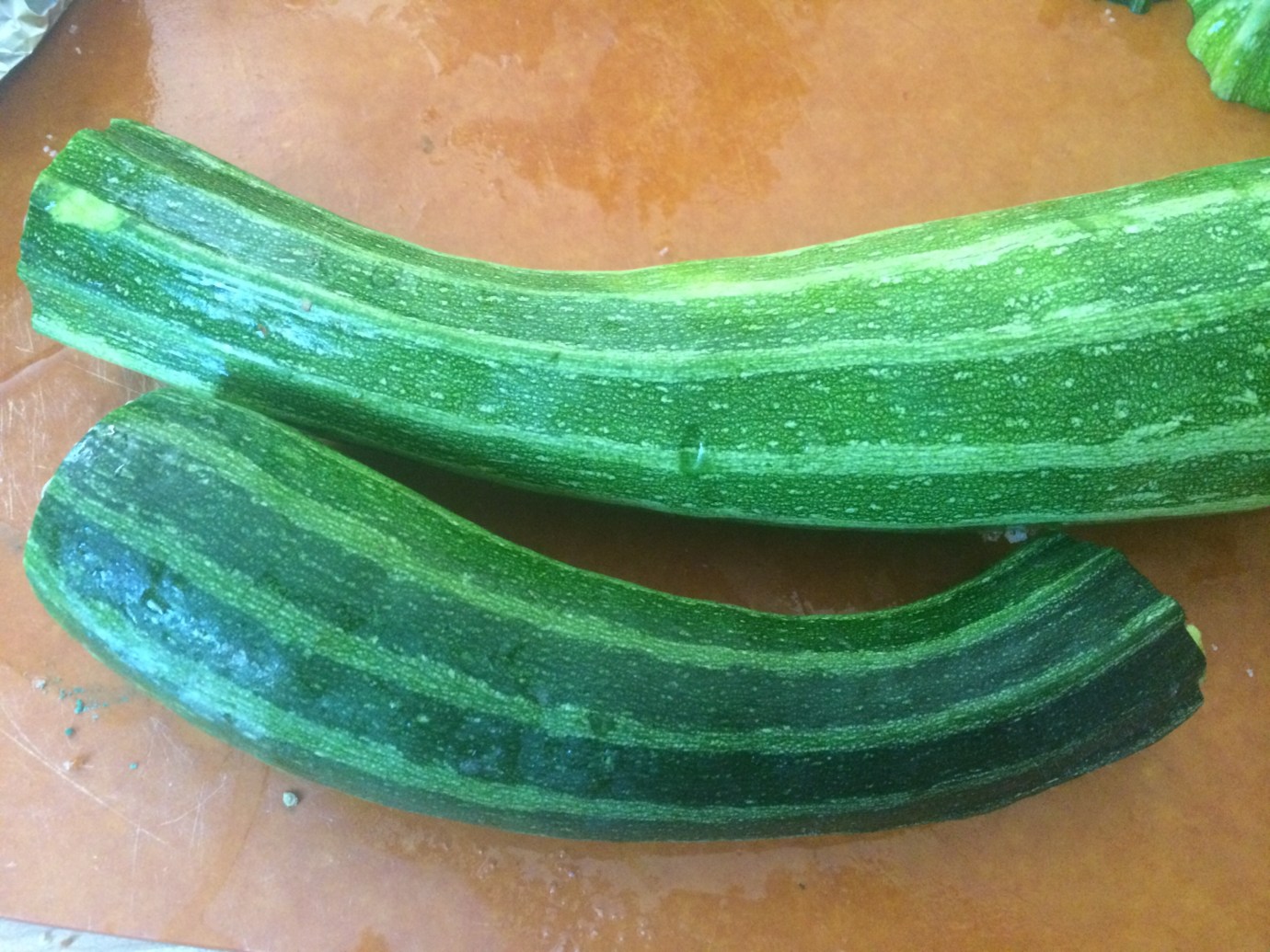Zucchini Bolognese – Andrea's Garden Cooking