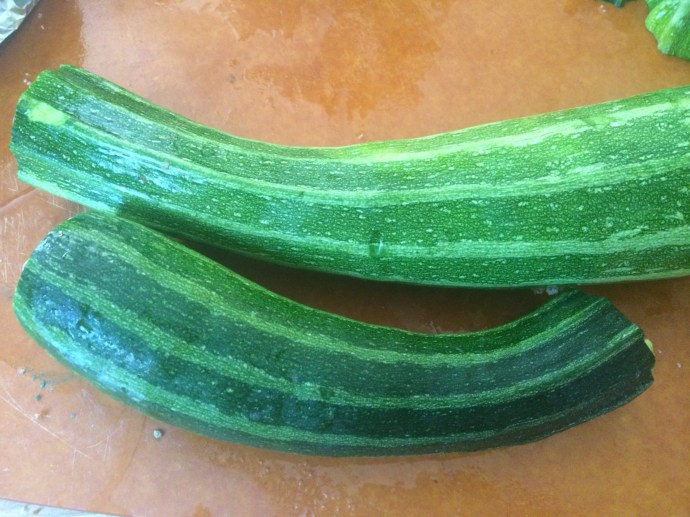 Zucchini Bolognese – Andrea's Garden Cooking