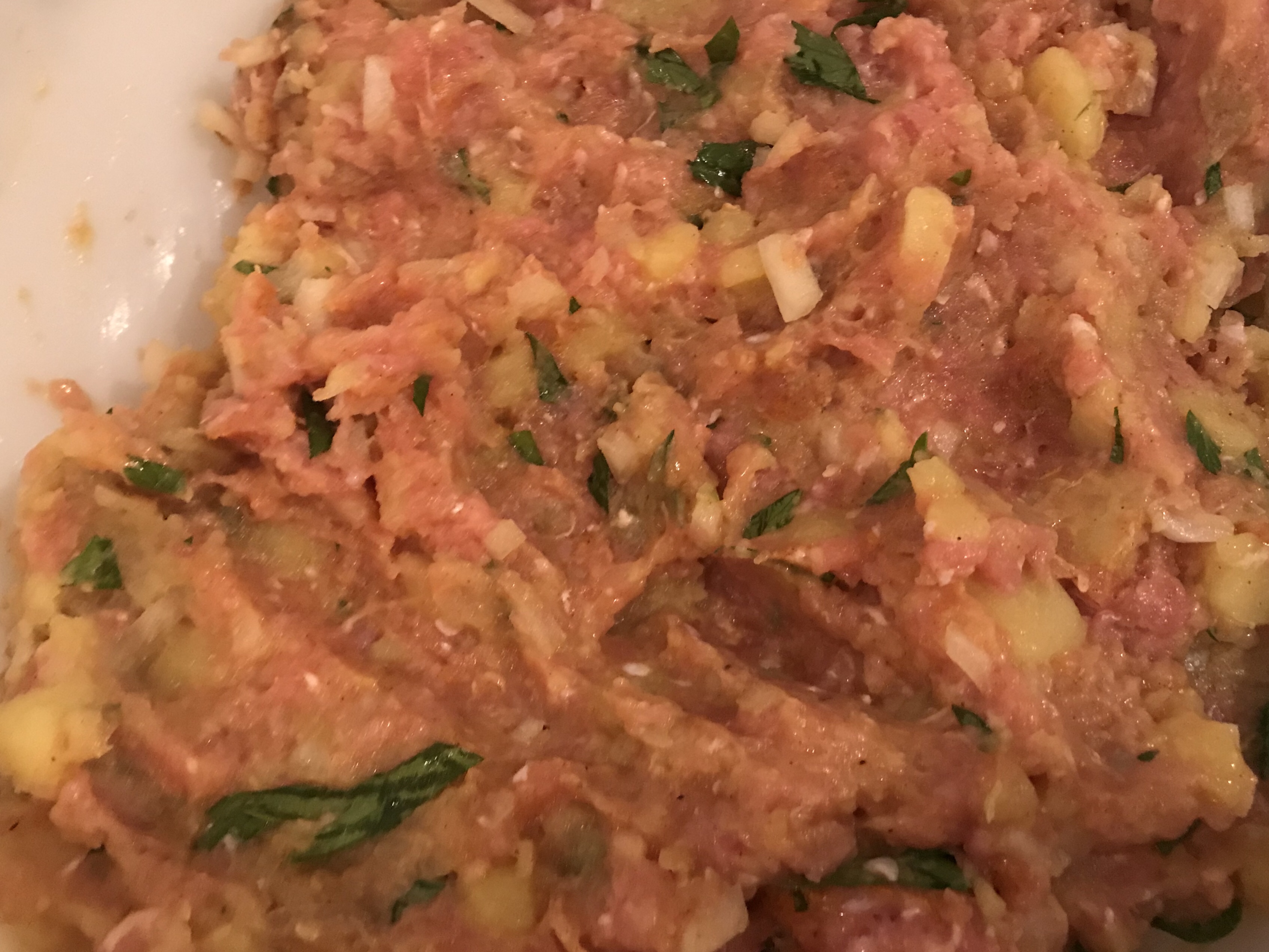 Turkey Kotlet (Persian Meat and Potato Patties) – Andrea's Garden Cooking